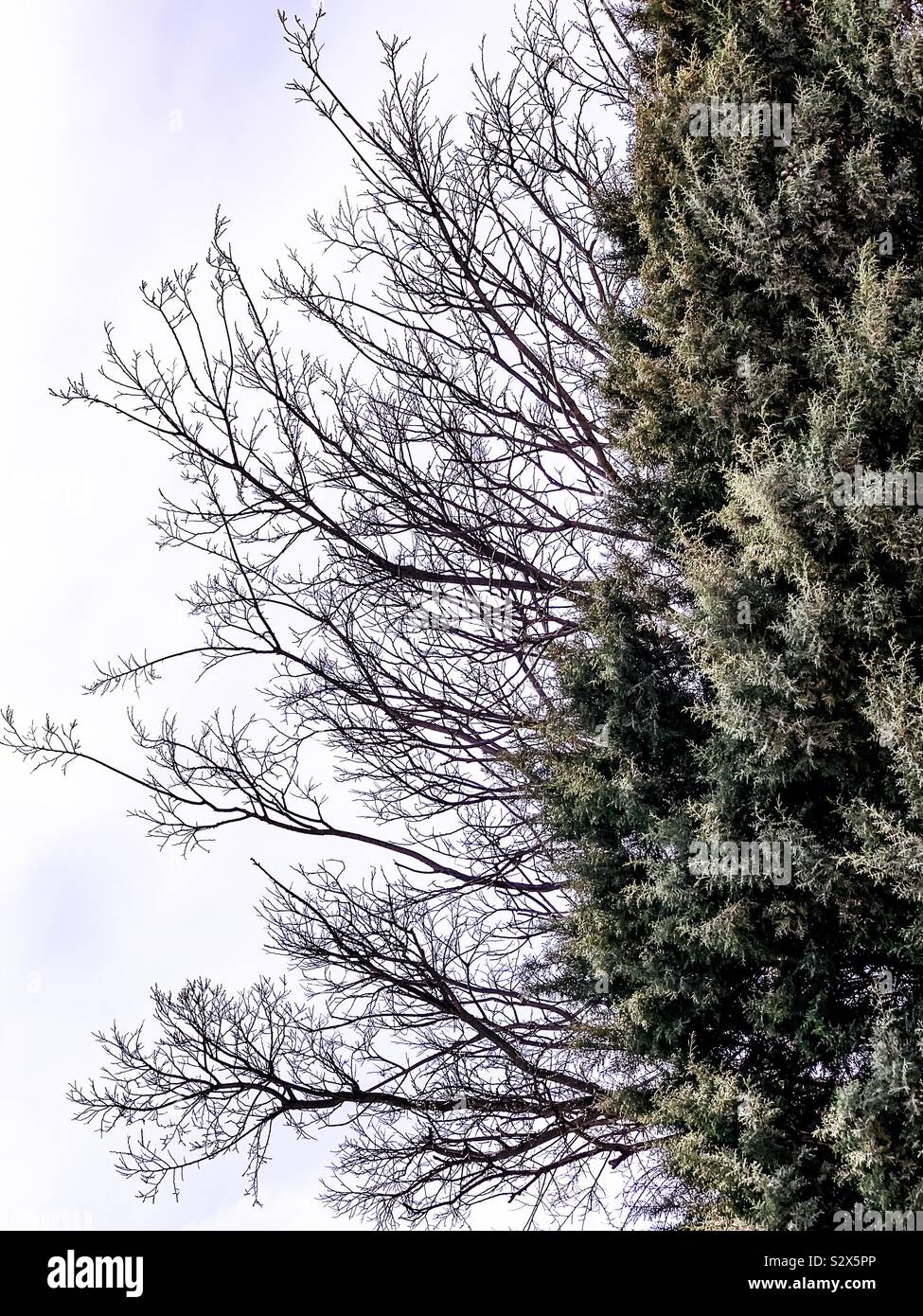 Christmas in september hi-res stock photography and images - Alamy