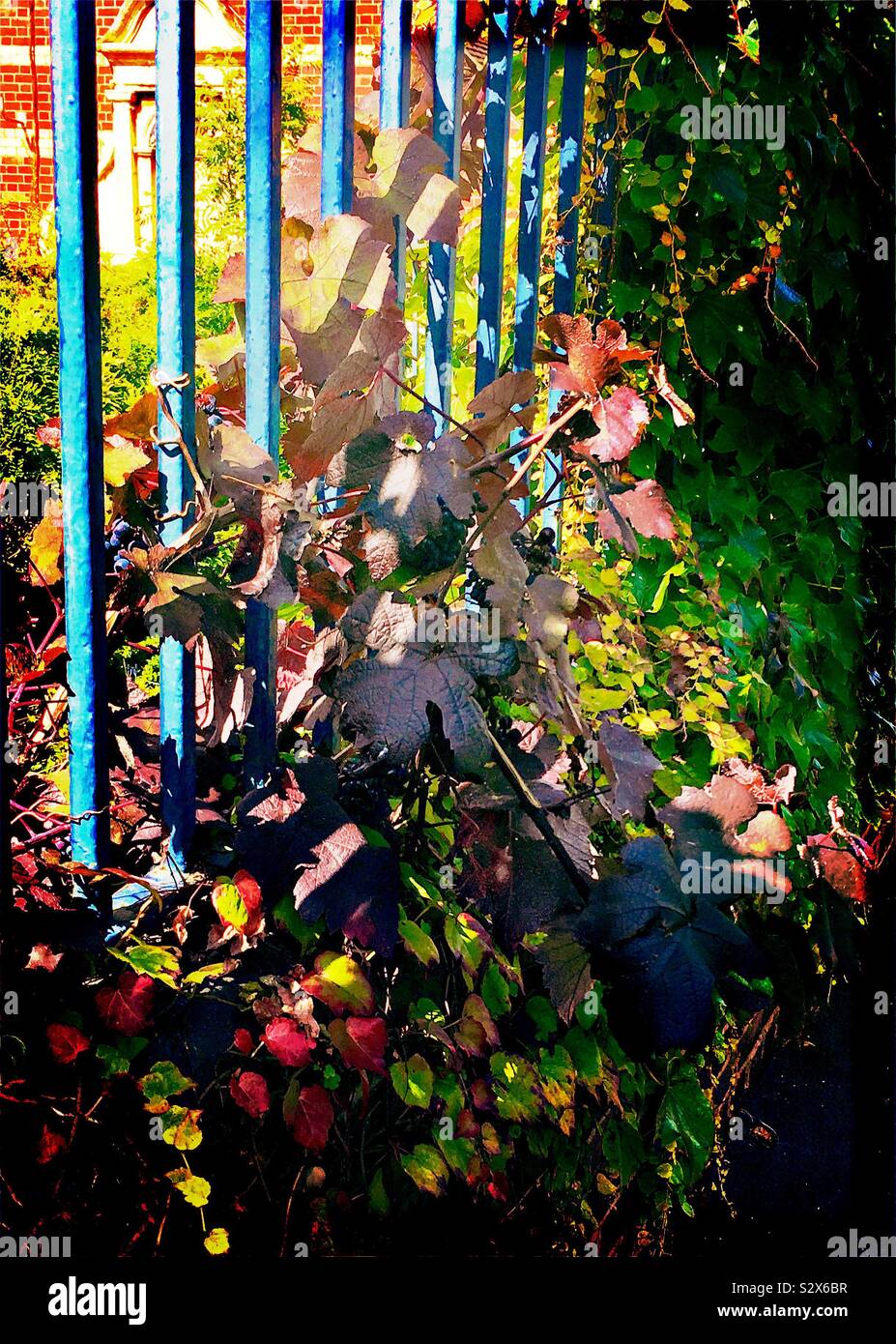 Fall leaves behind railing hi-res stock photography and images - Alamy