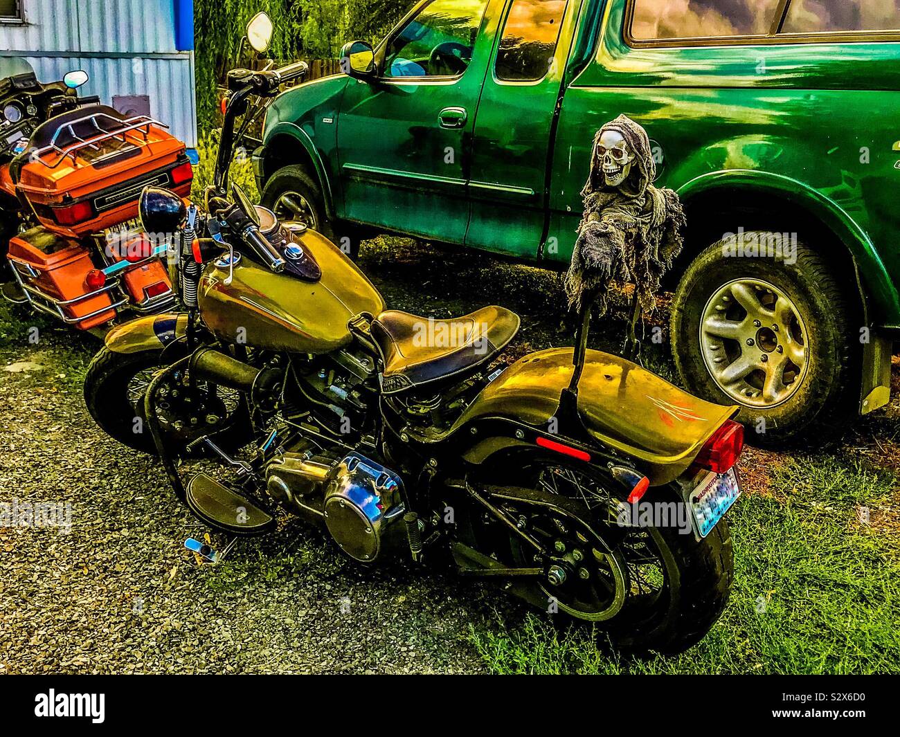 Unnatural colors in vivid photo of spooky skeleton decorating a ...