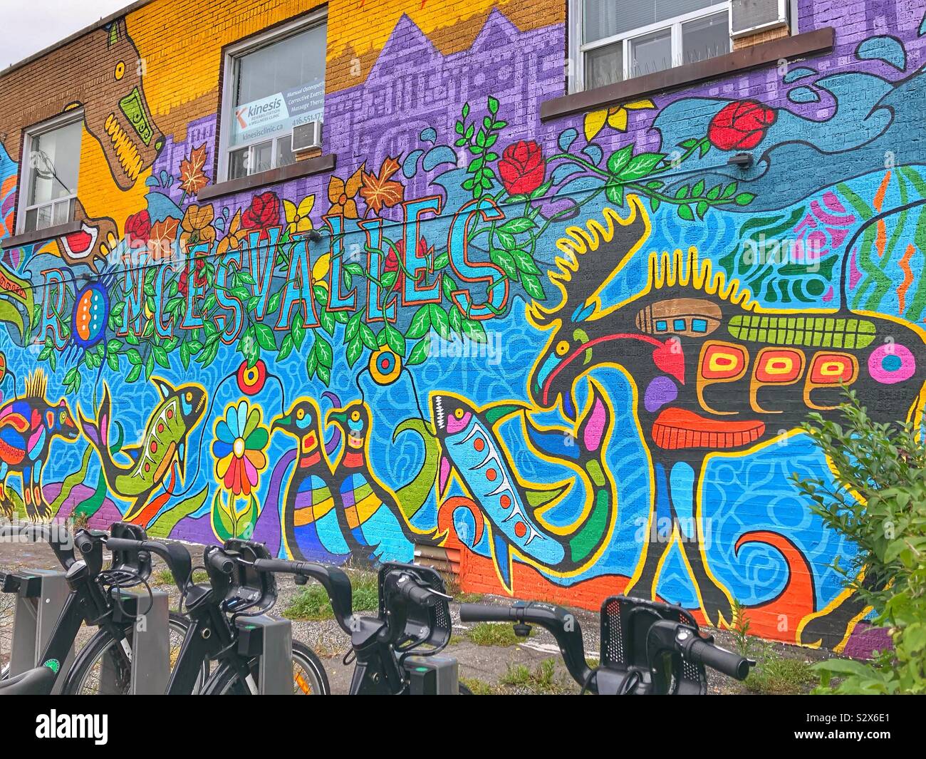 An indigenous animal themed mural on a building exterior wall in a ...