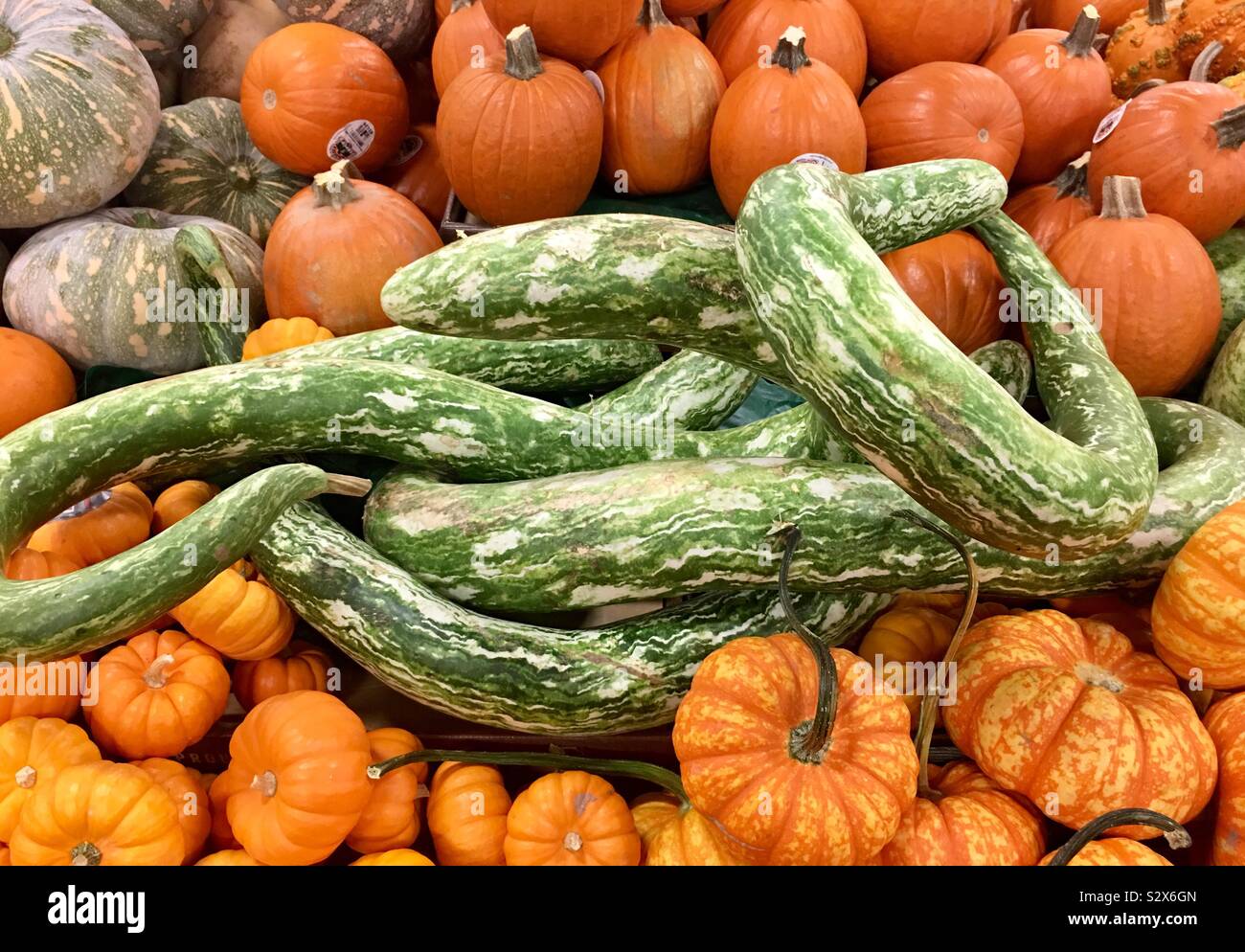 Funky shape hi-res stock photography and images - Alamy