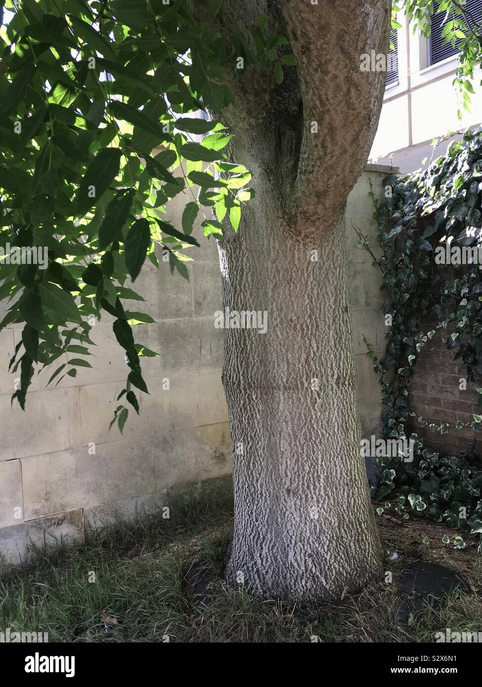 Strong corner hi-res stock photography and images - Alamy