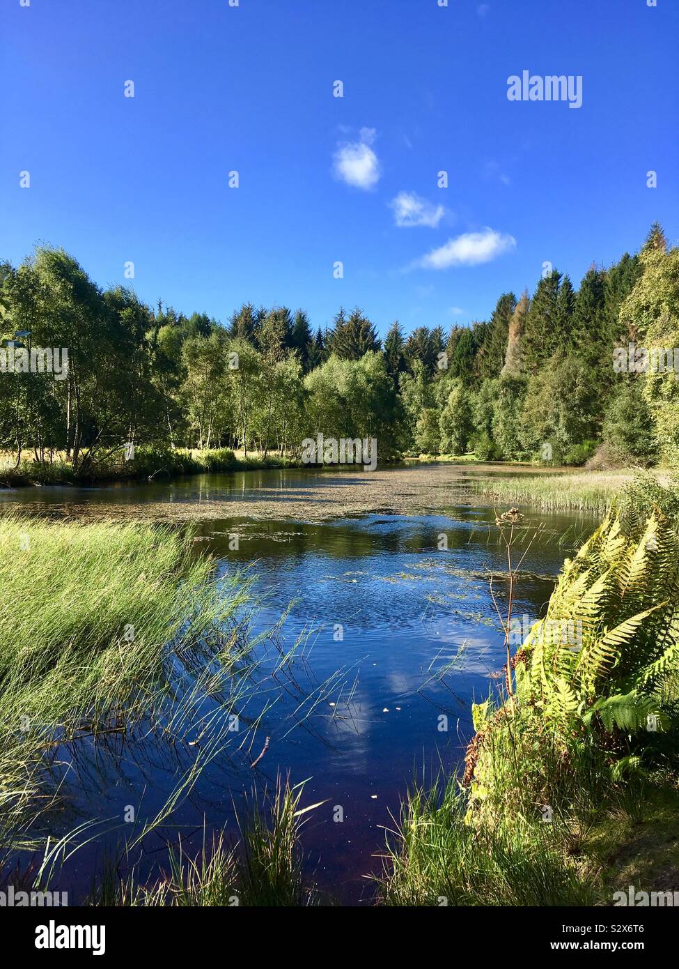 Sunny lake hi-res stock photography and images - Alamy