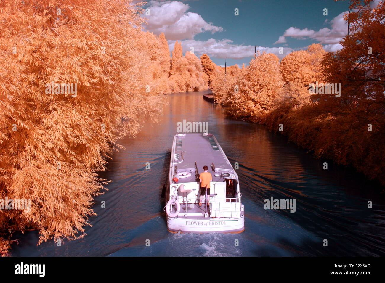 Infrared 590nm hi-res stock photography and images - Alamy