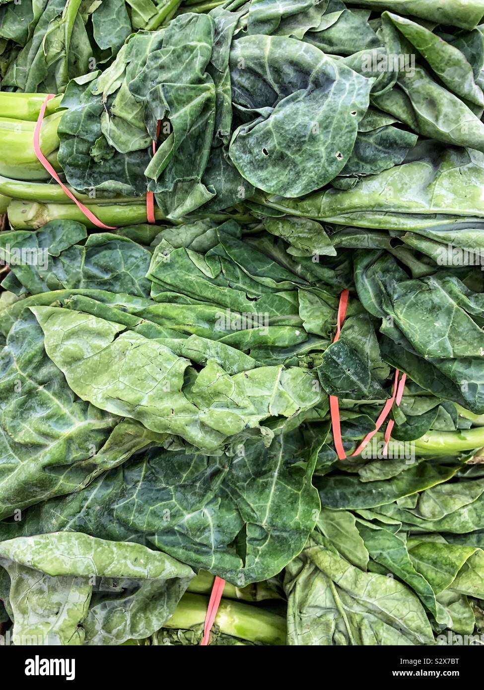 Bunches spinach hi-res stock photography and images - Alamy