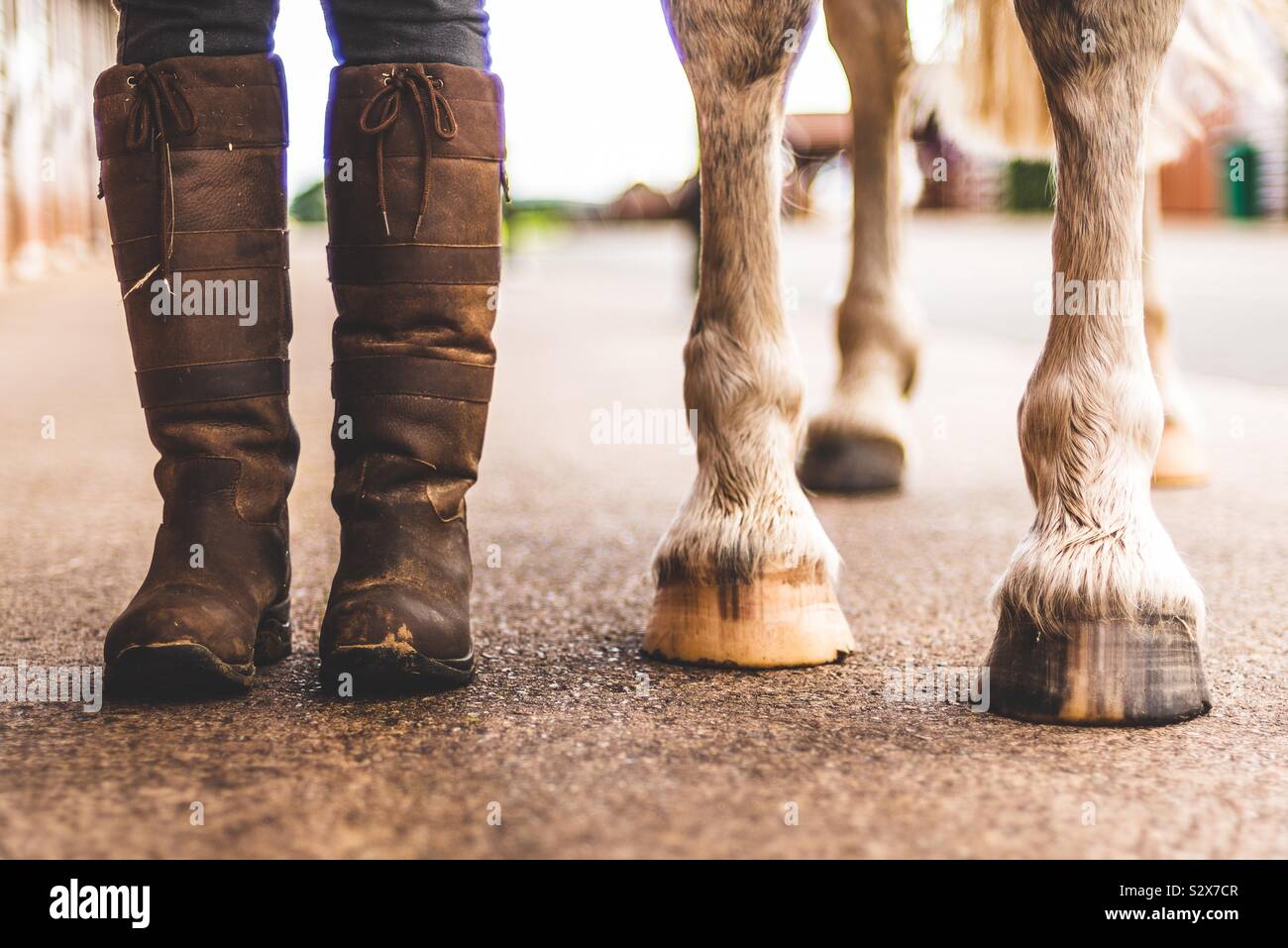 Four square lineup Stock Photo - Alamy
