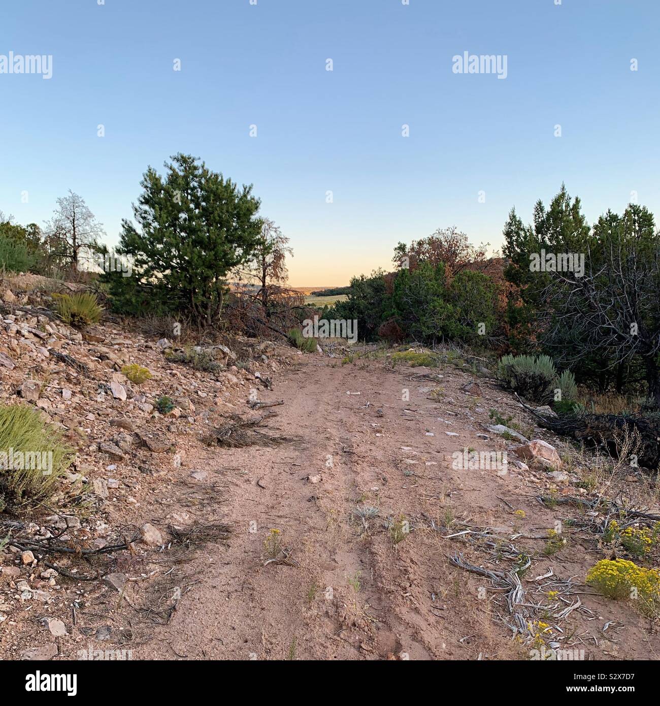 Old mine road hi-res stock photography and images - Alamy