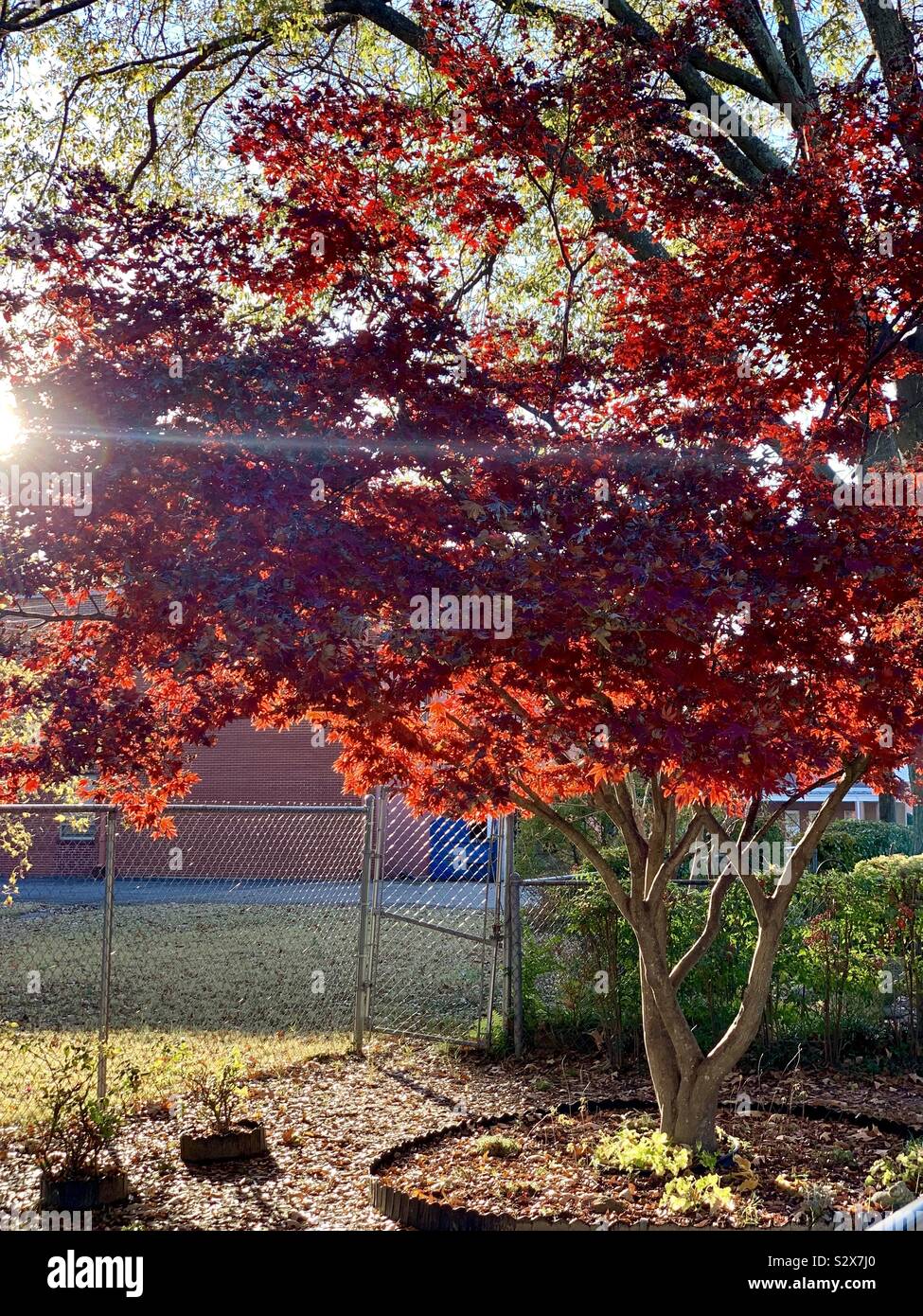 Japanese sun hi-res stock photography and images - Alamy