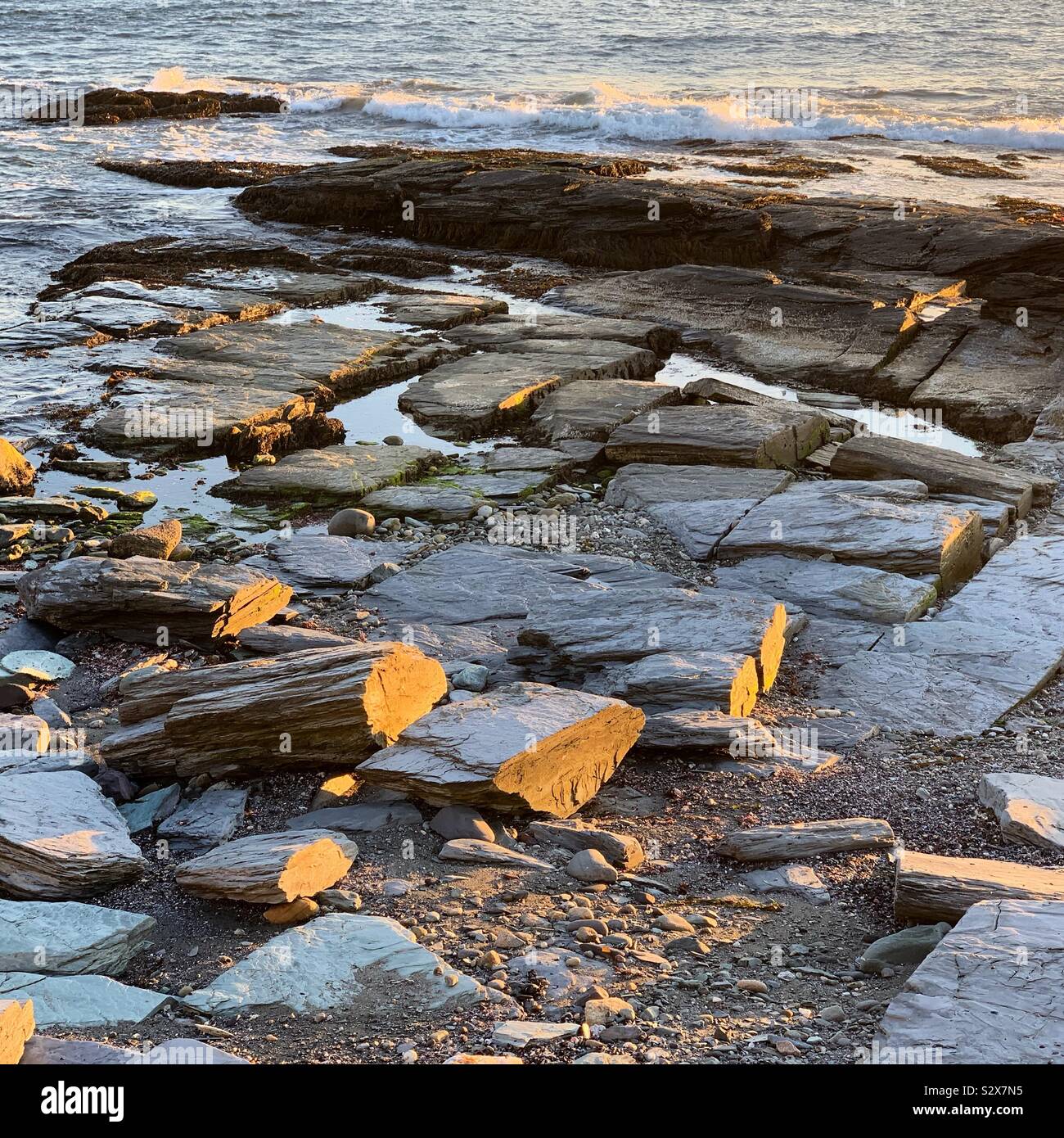 Rocky shoreline in the light before sunset, Newport, Rhode Island ...