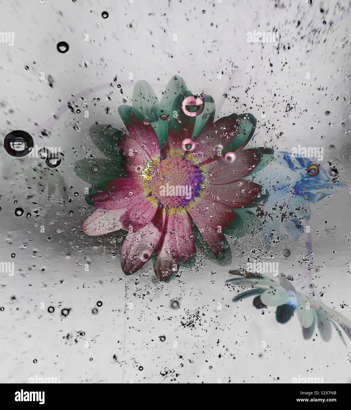 Colorful neon flower rain collage Stock Photo - Alamy