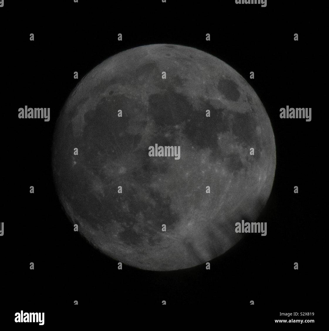 Full moon and pine tree hi-res stock photography and images - Alamy