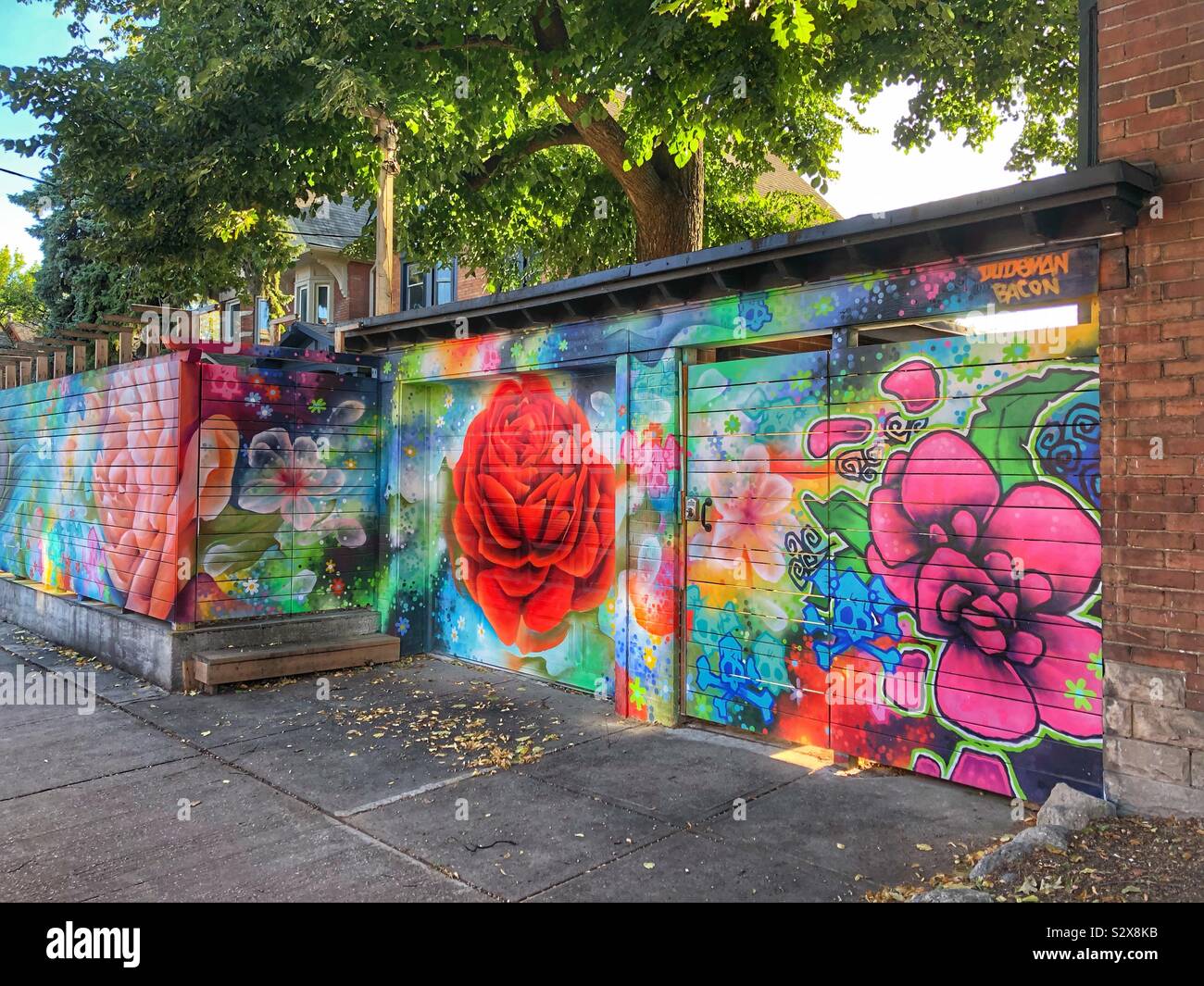 Toronto street art Stock Photo - Alamy