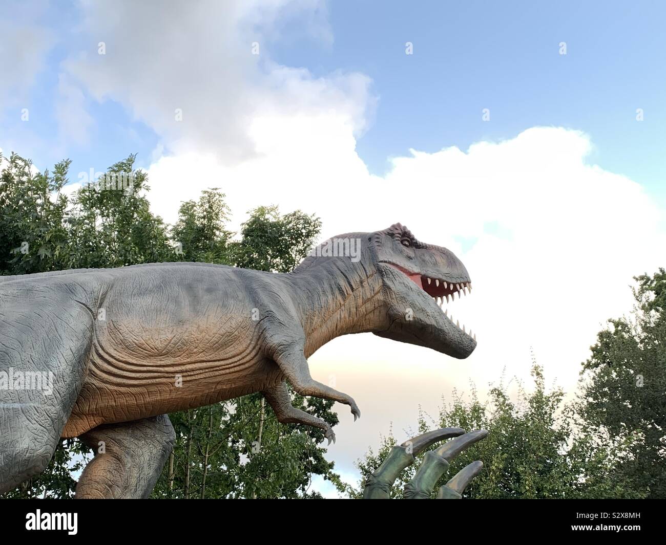 Dinosaur trees hi-res stock photography and images - Alamy