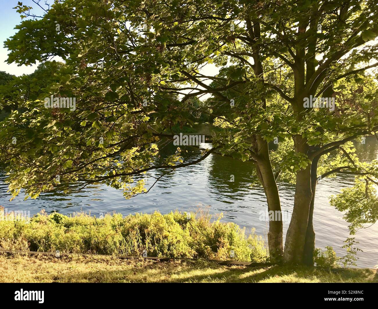 Richmond Upon Thames England Riverside High Resolution Stock ...