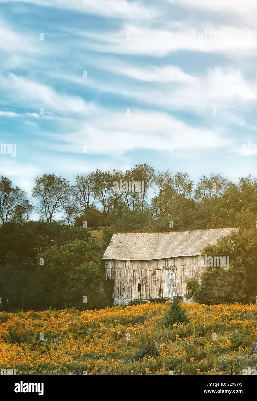 Barn with trees hi-res stock photography and images - Alamy