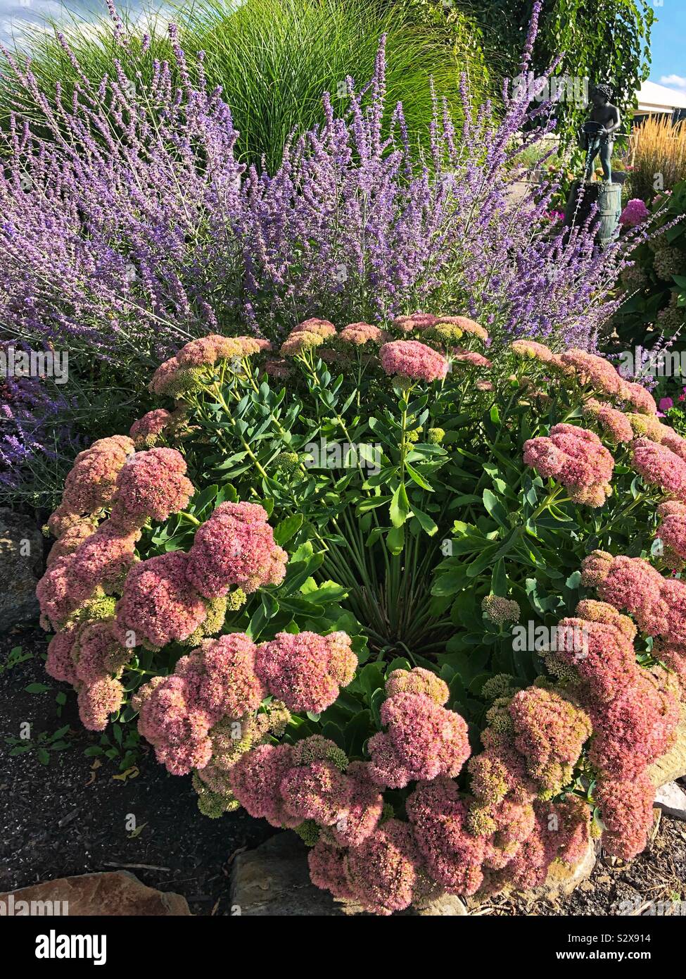 Beautiful lush garden hi-res stock photography and images - Alamy