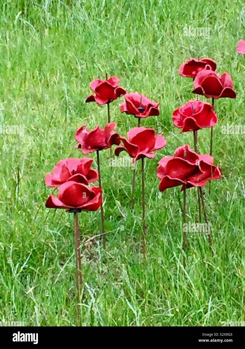 British legion poppies hi-res stock photography and images - Alamy