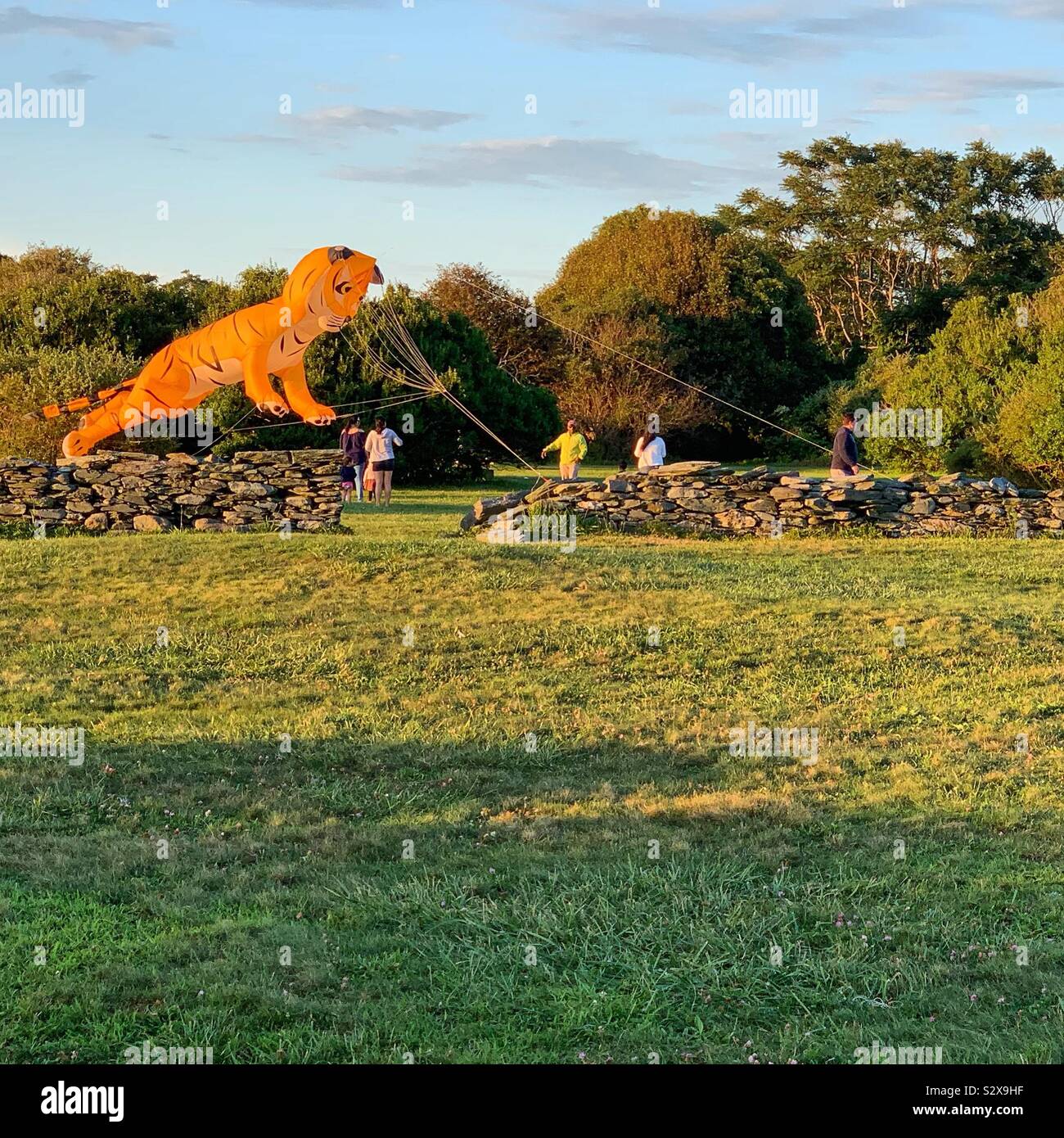 People retrieving a giant tiger-shaped kite as the sun sets over ...