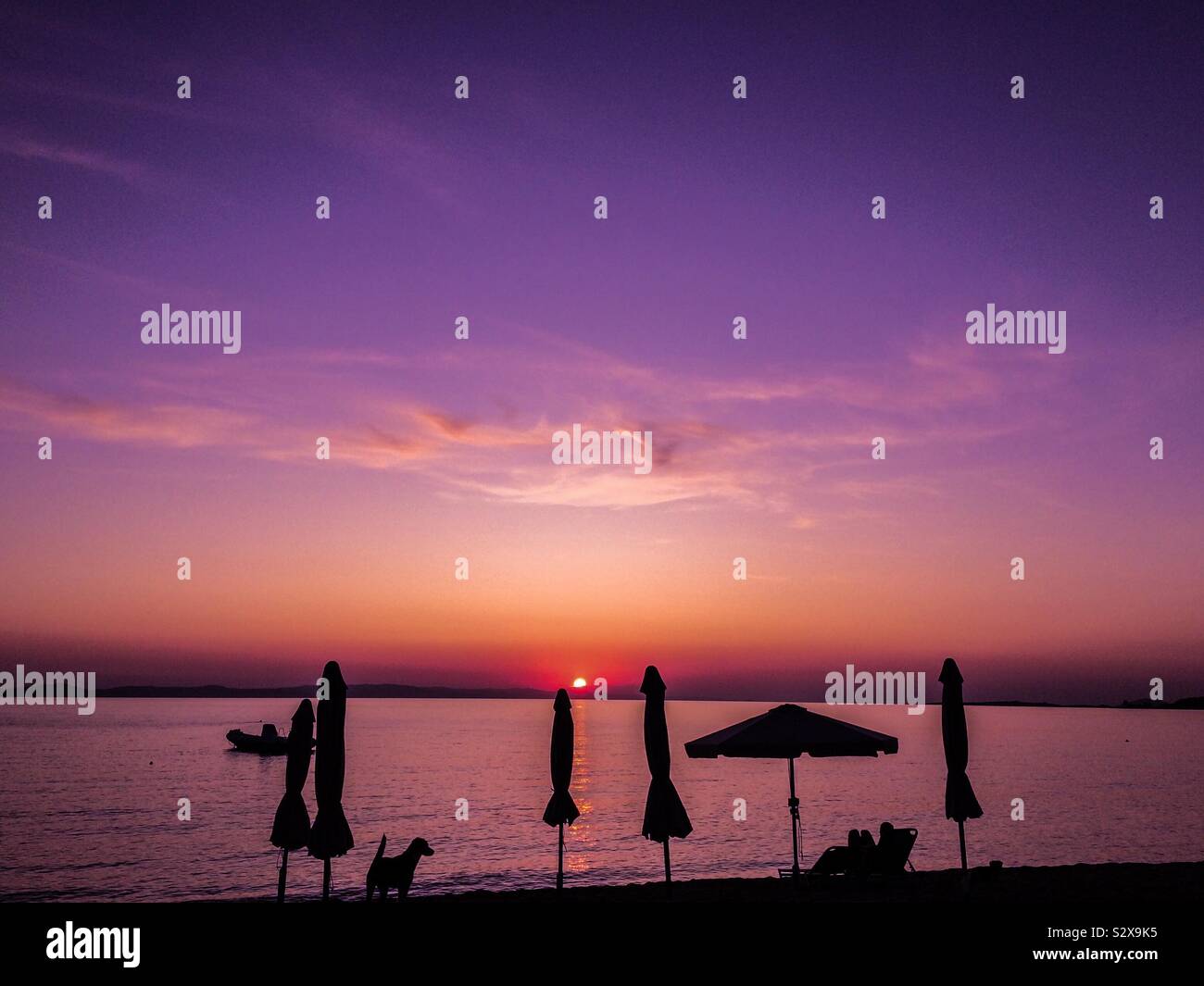 Purple ocean tale Stock Photo - Alamy