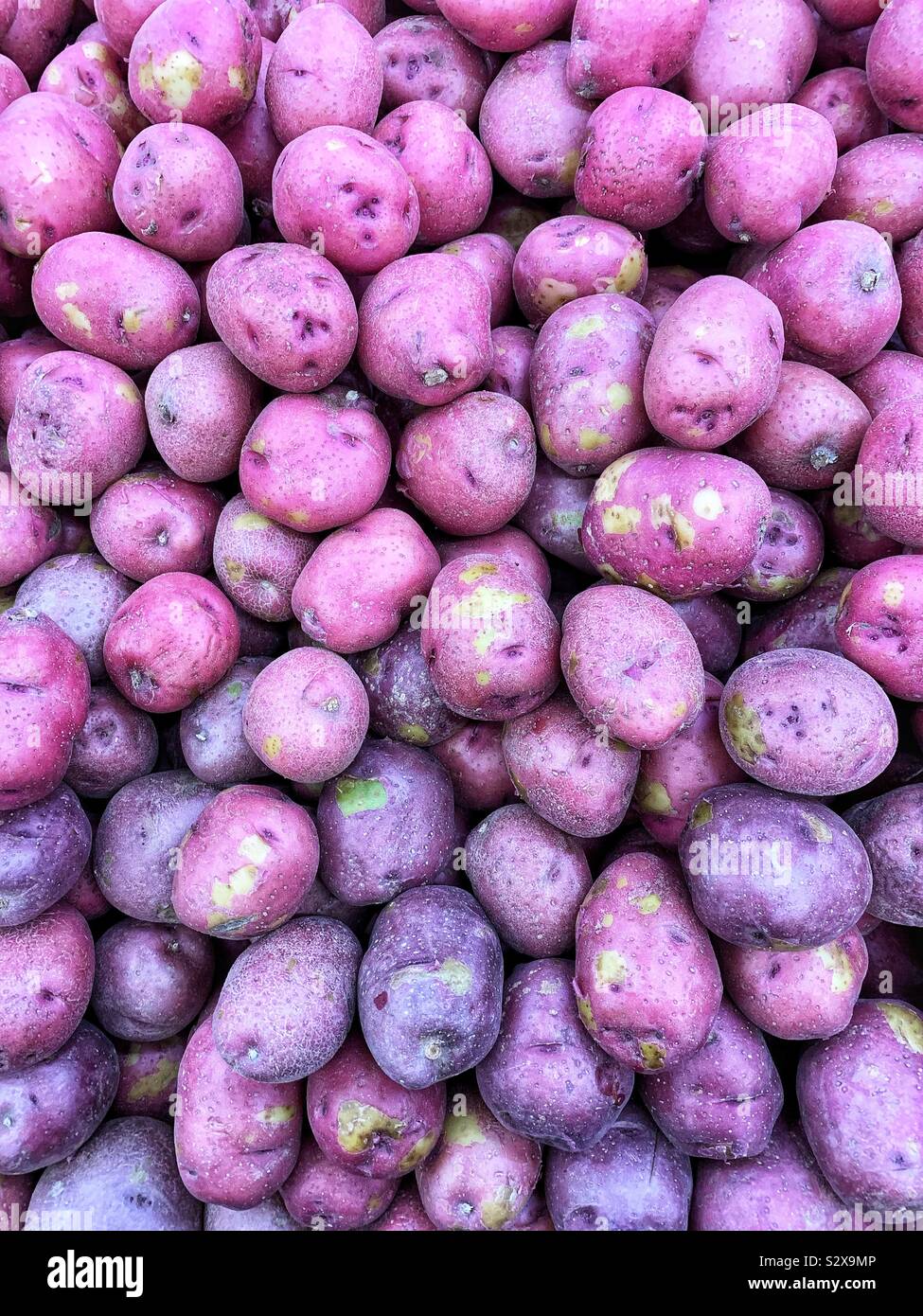 Purple potatoes hi-res stock photography and images - Alamy