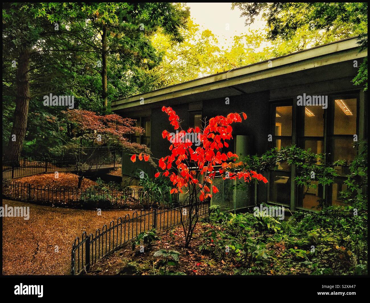 Autumn in Peckham Rye park Stock Photo - Alamy