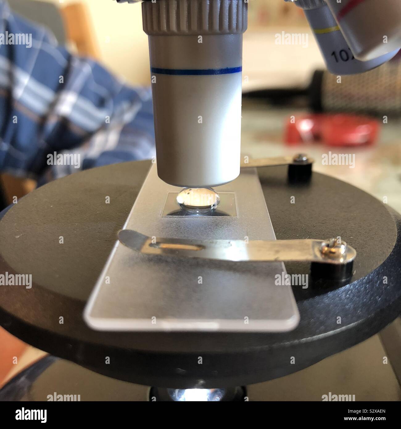 Water under microscope hi-res stock photography and images - Alamy