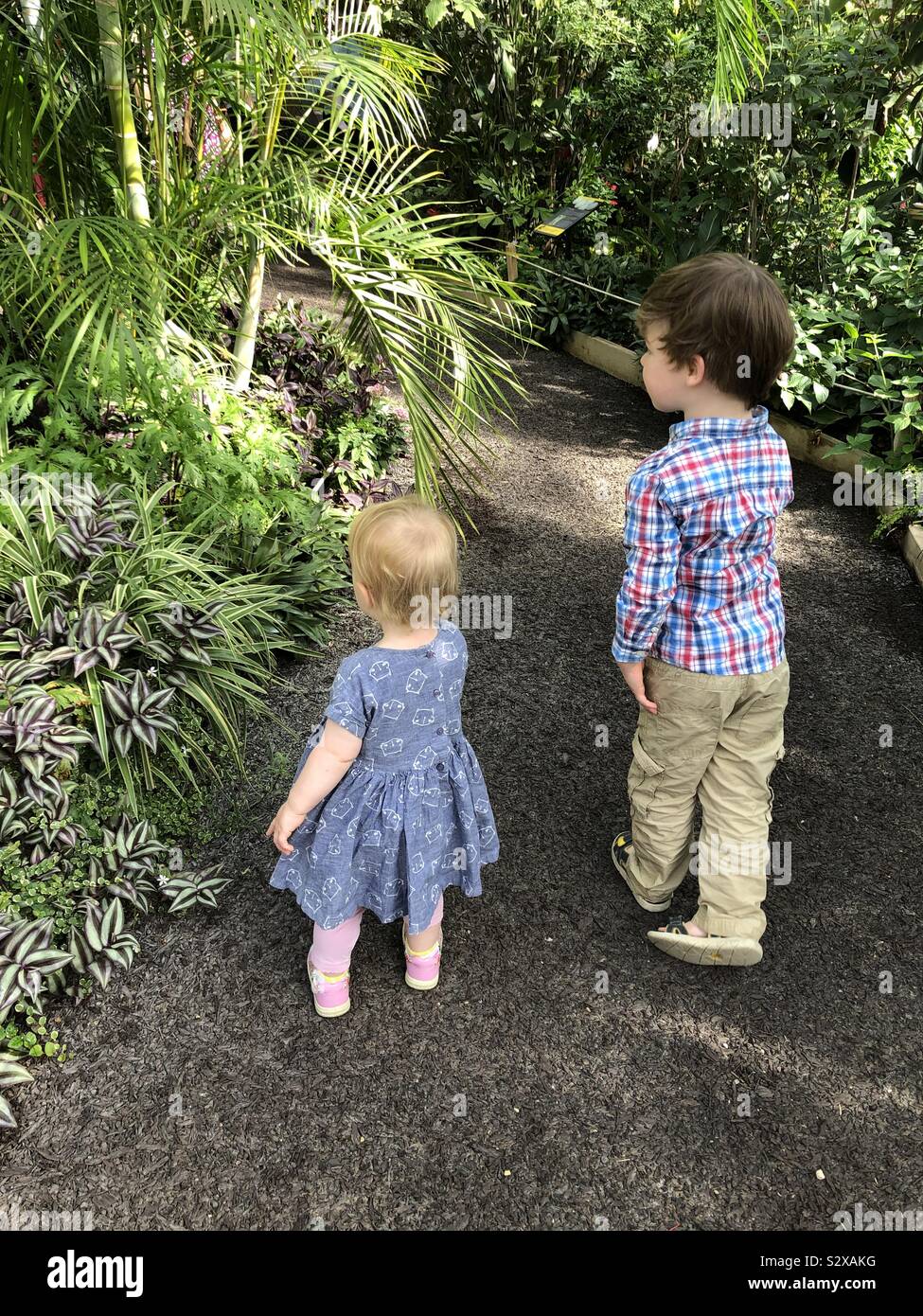 Children admiring hi-res stock photography and images - Alamy