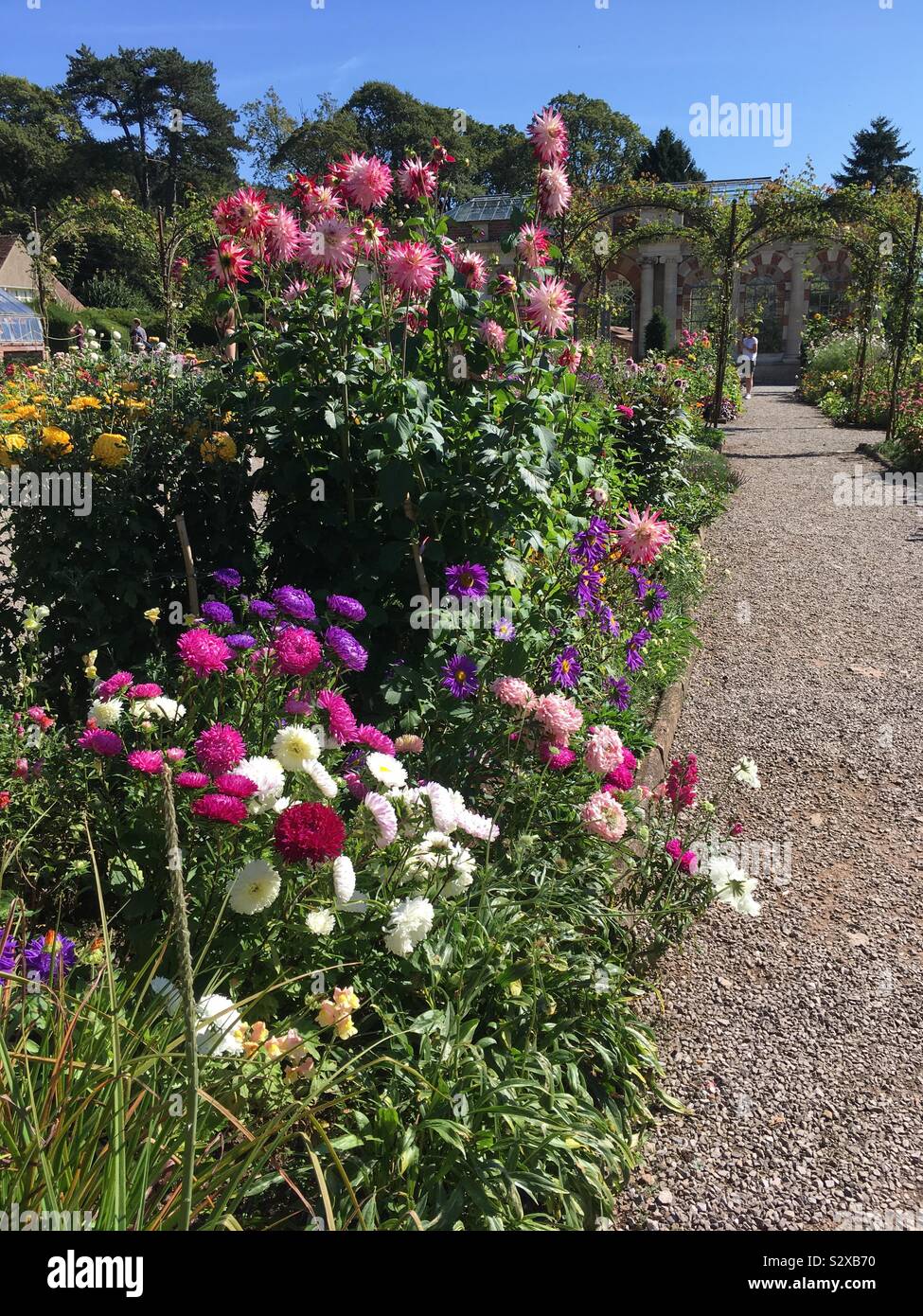 Tyntesfield hi-res stock photography and images - Alamy