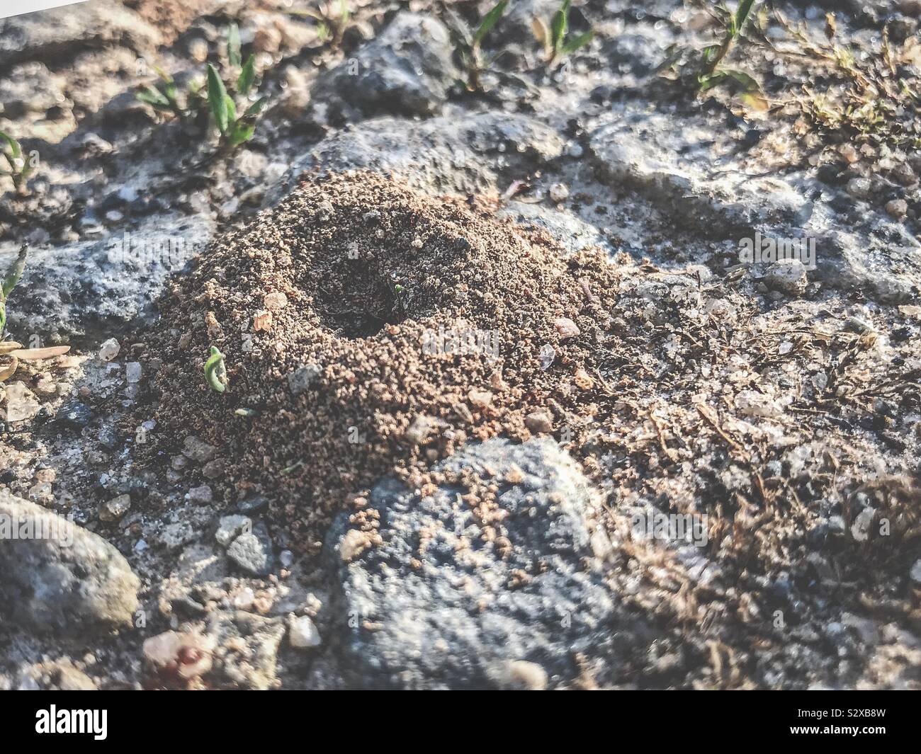 Home and shelter hi-res stock photography and images - Alamy