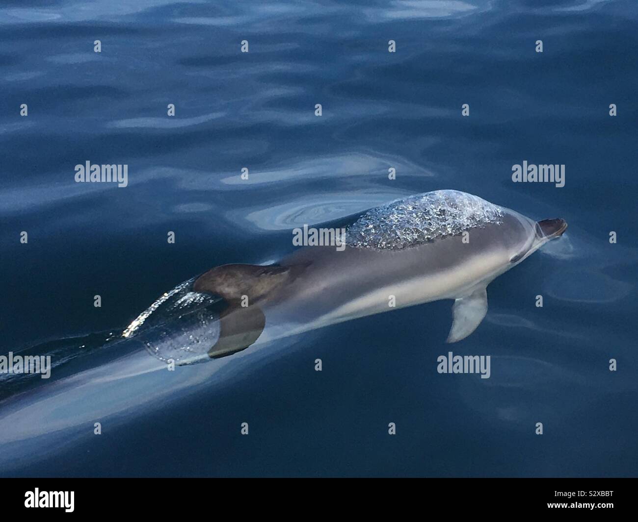 Full speed ahead hi-res stock photography and images - Alamy