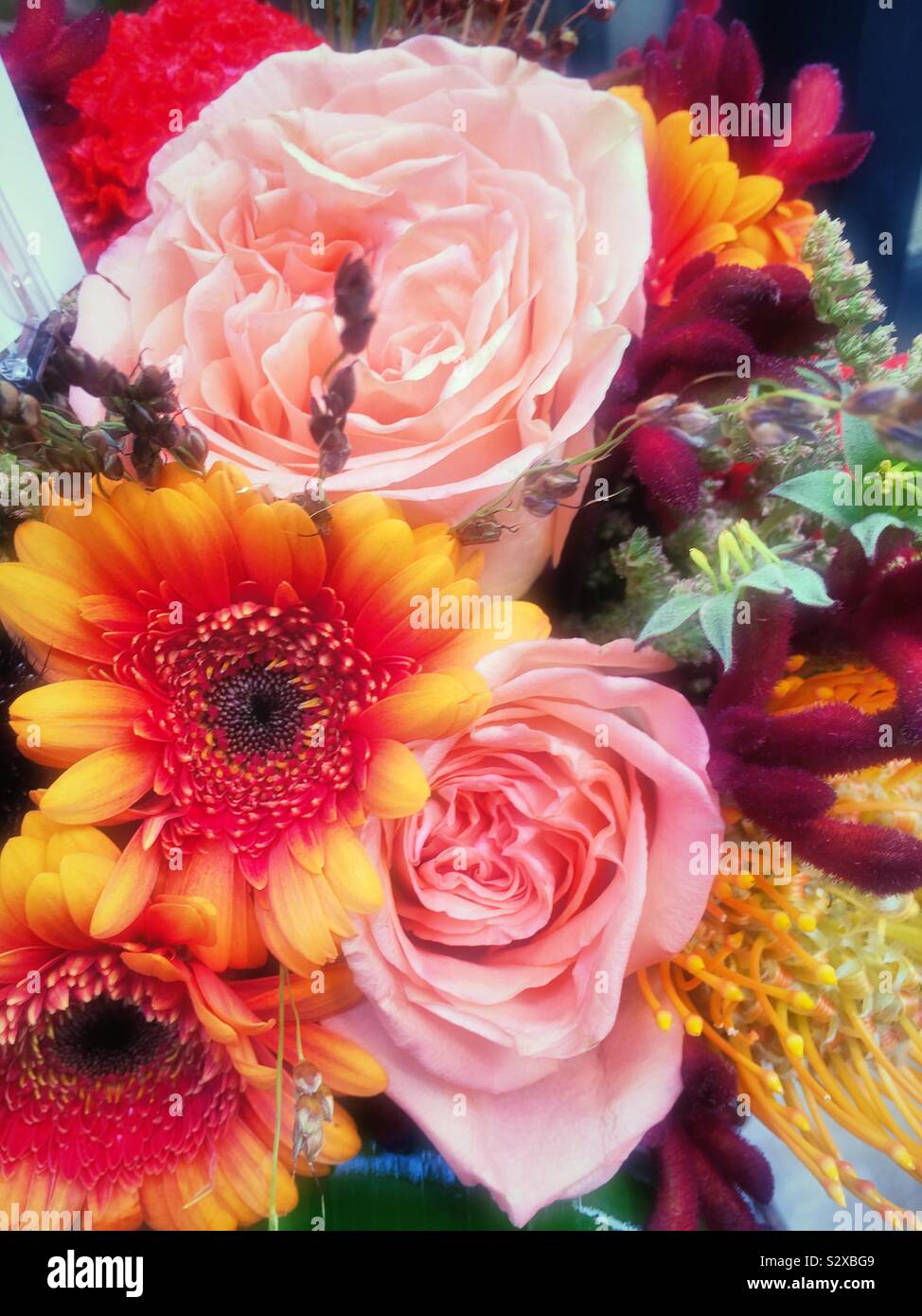 Colorful flower bouquet Stock Photo - Alamy
