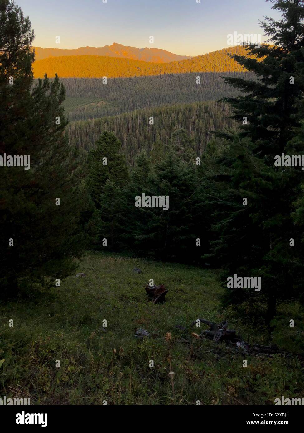 Gallatin nf hi-res stock photography and images - Alamy