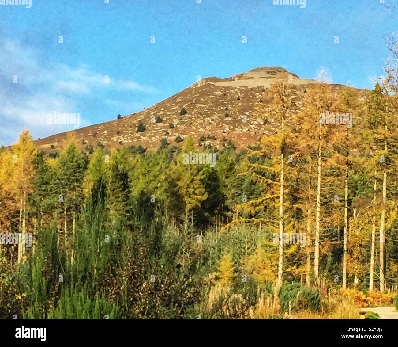 Bennachie aberdeenshire hi-res stock photography and images - Alamy