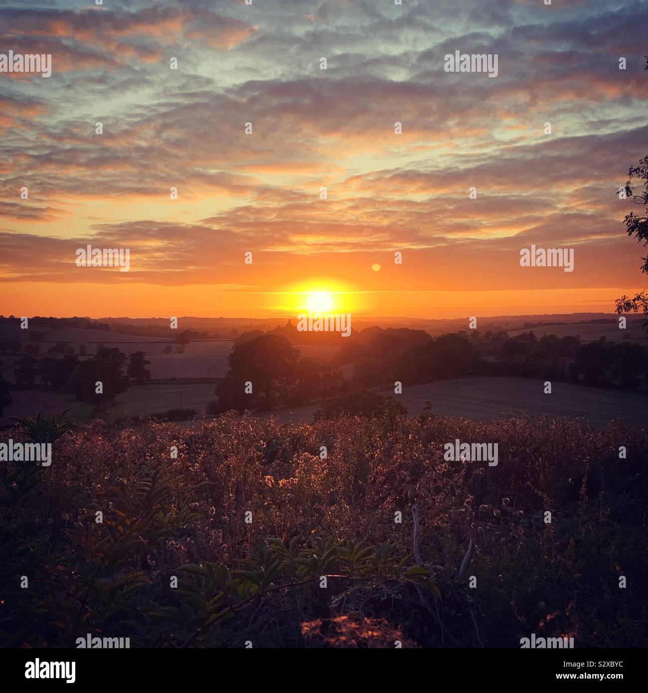 Sunset and fields hi-res stock photography and images - Alamy