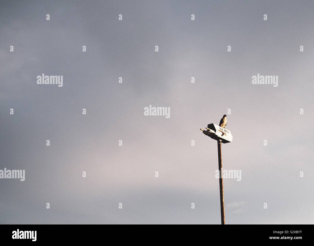 Hawk box hi-res stock photography and images - Alamy
