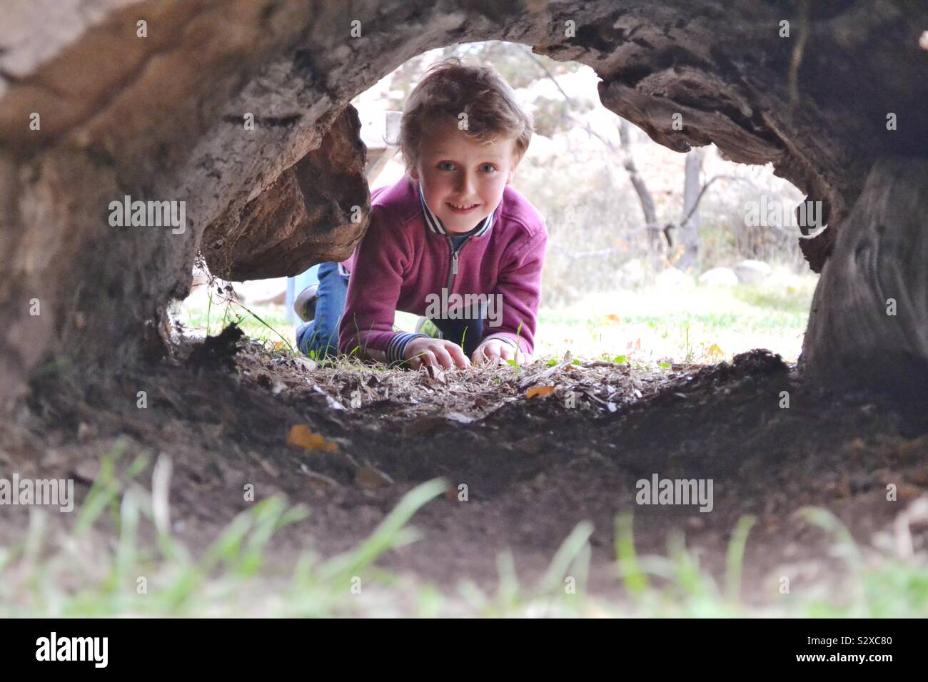 Under A Log High Resolution Stock Photography and Images - Alamy