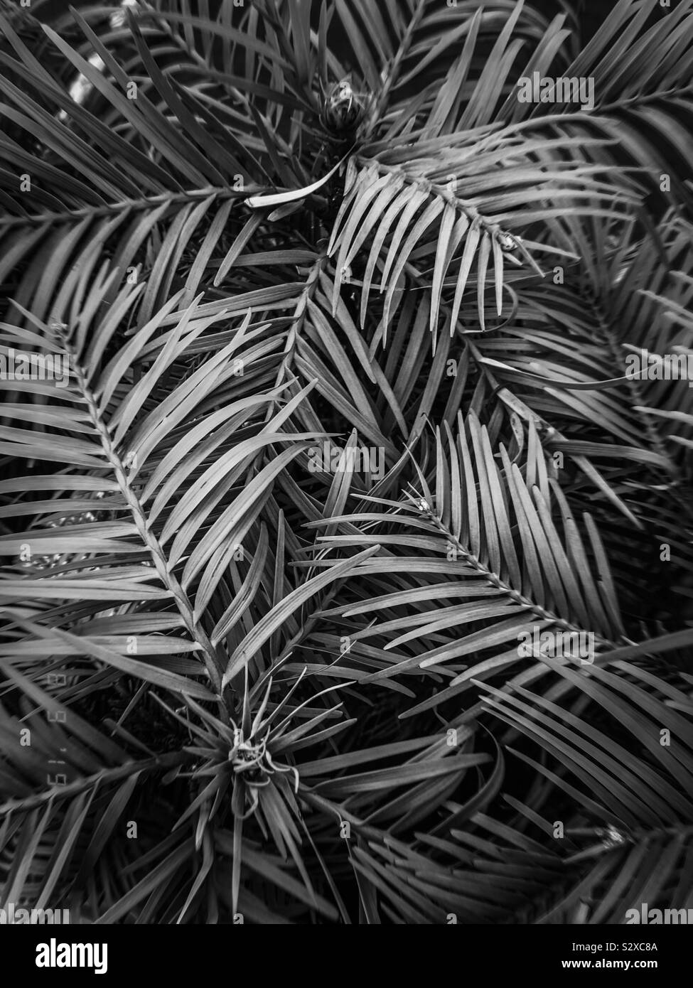 Grey nature hi-res stock photography and images - Alamy