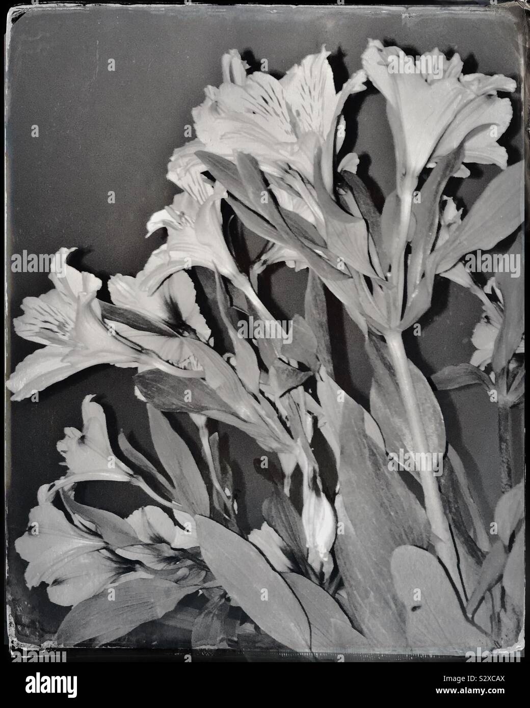 Old fashioned effect hi-res stock photography and images - Alamy