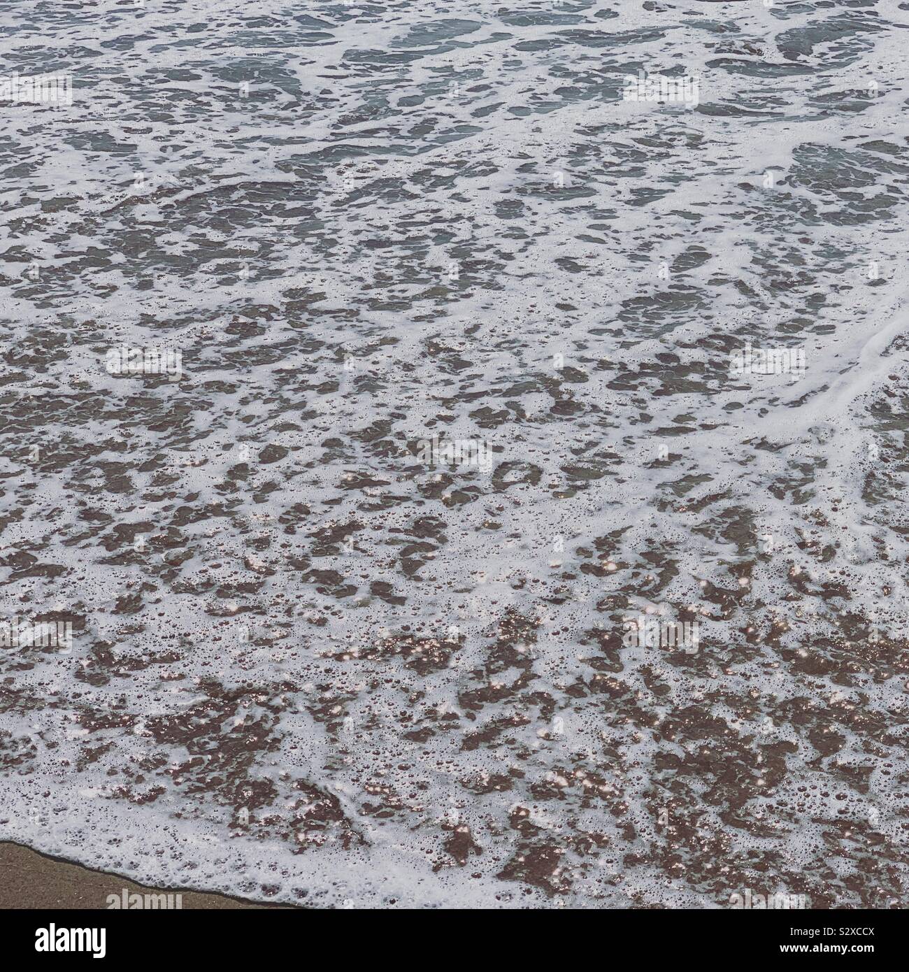 Foam on the beach Stock Photo - Alamy