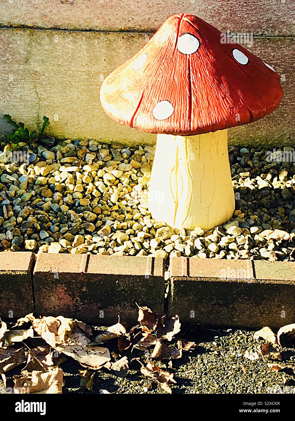 Fall mushroom hi-res stock photography and images - Alamy
