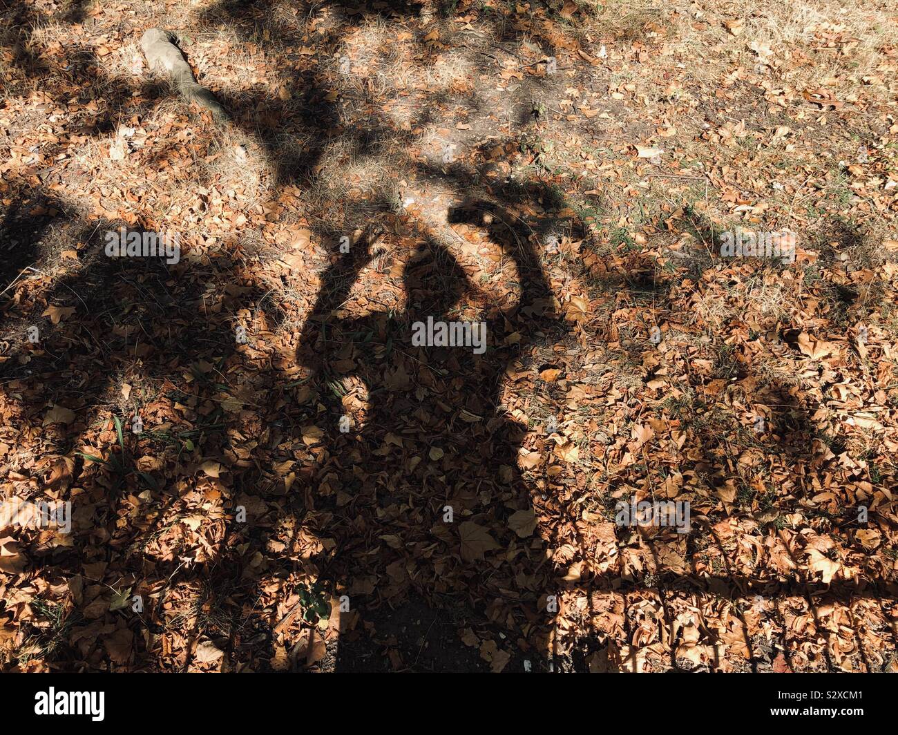Shadow selfie hi-res stock photography and images - Alamy