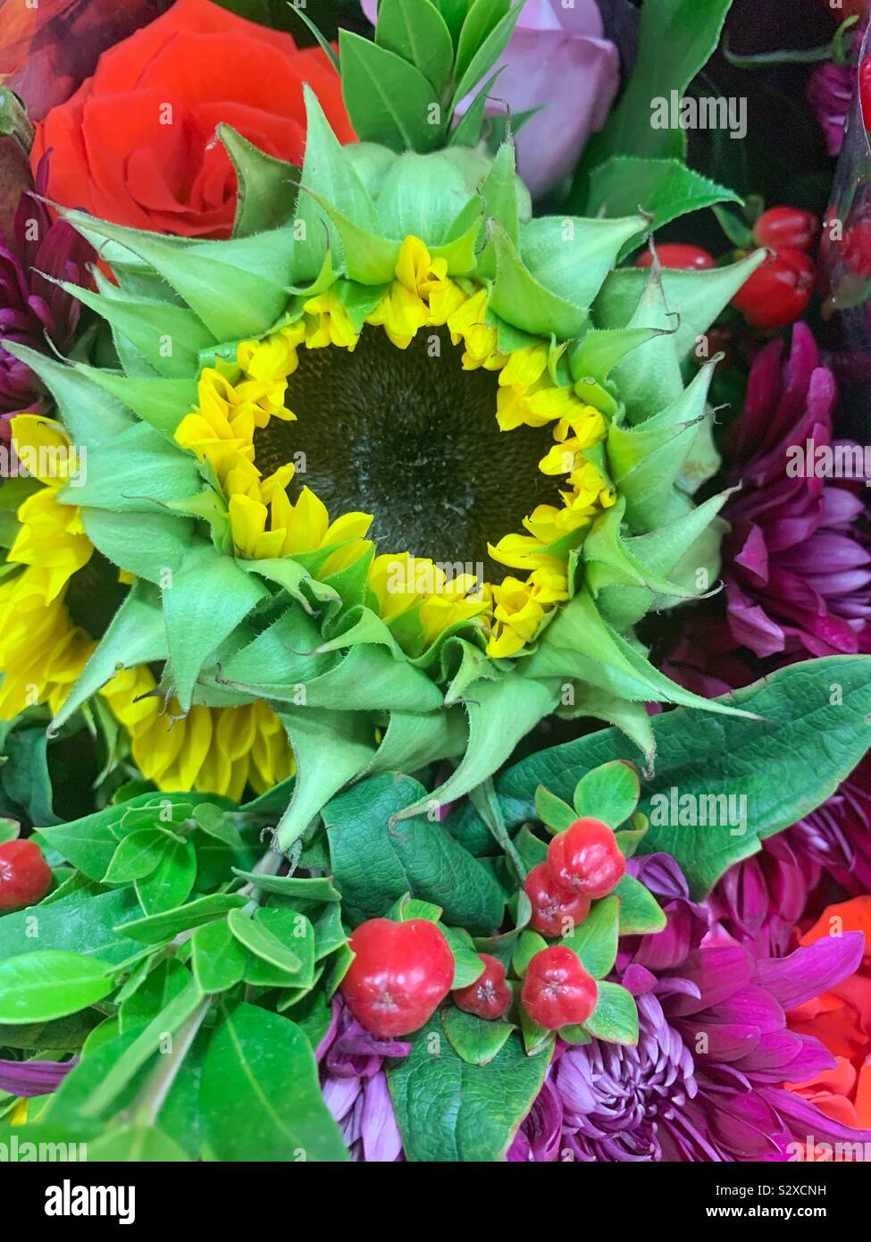 Beautiful bouquet of fresh sunflowers Stock Photo - Alamy