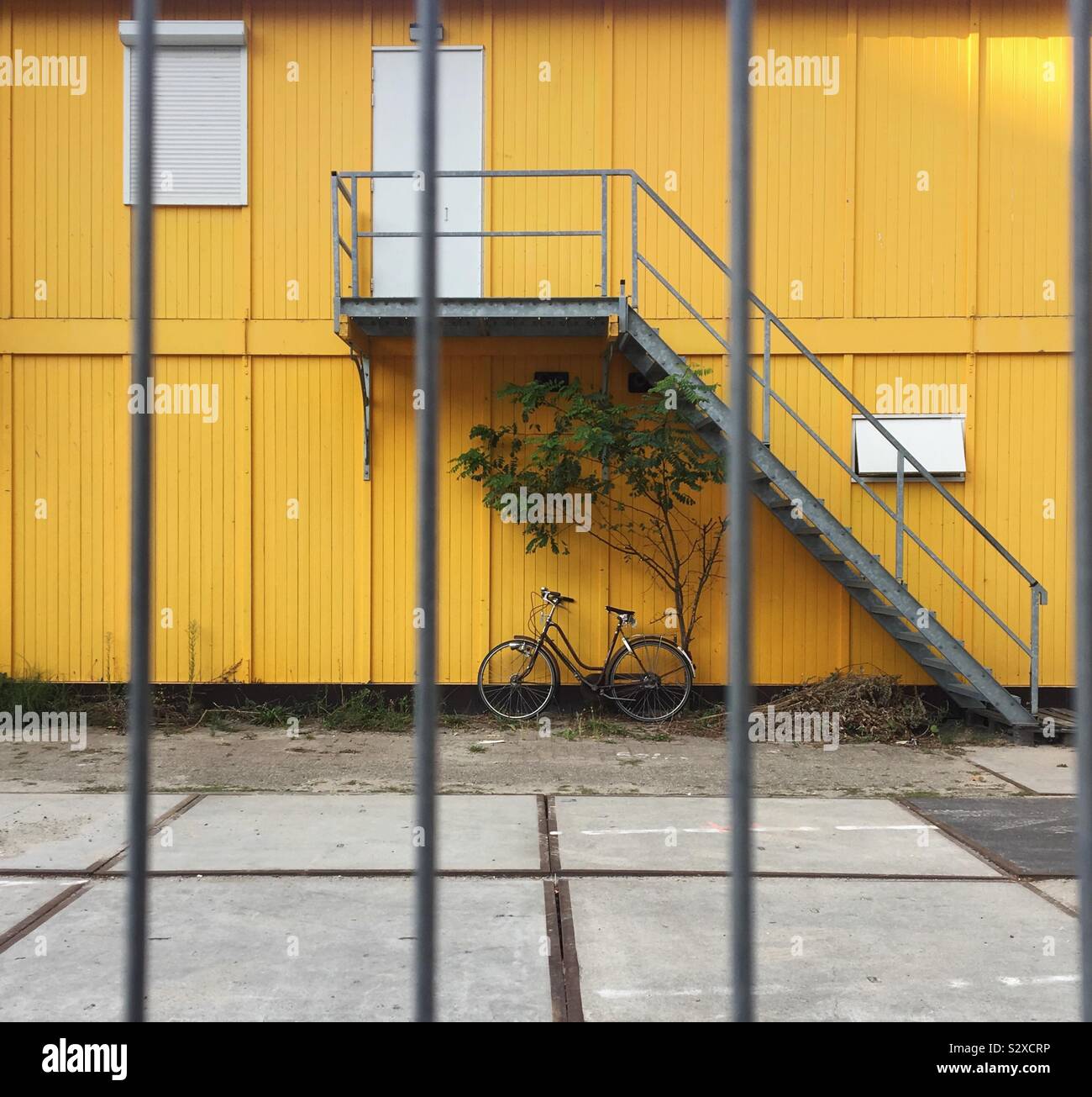 Tree viewed through fence smartphone stock photos and images - Alamy