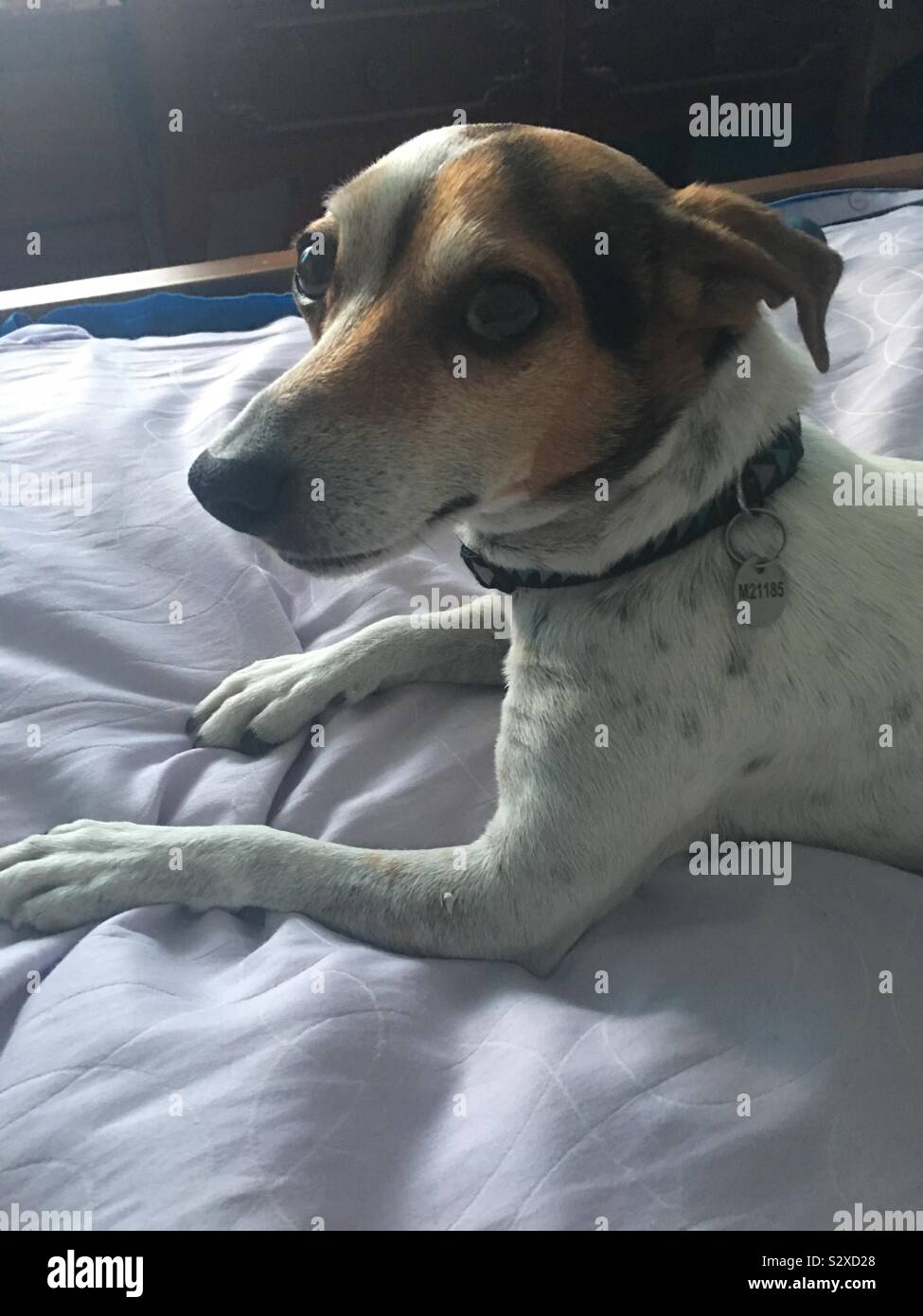 I’m looking good Stock Photo - Alamy