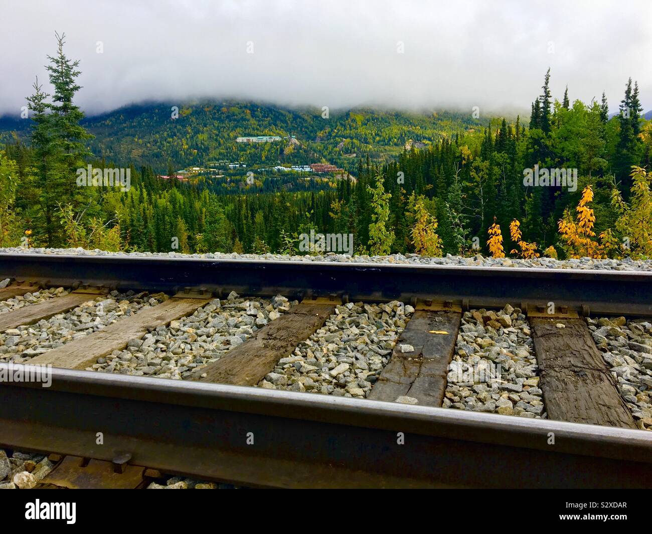 Rail in nature hi-res stock photography and images - Alamy