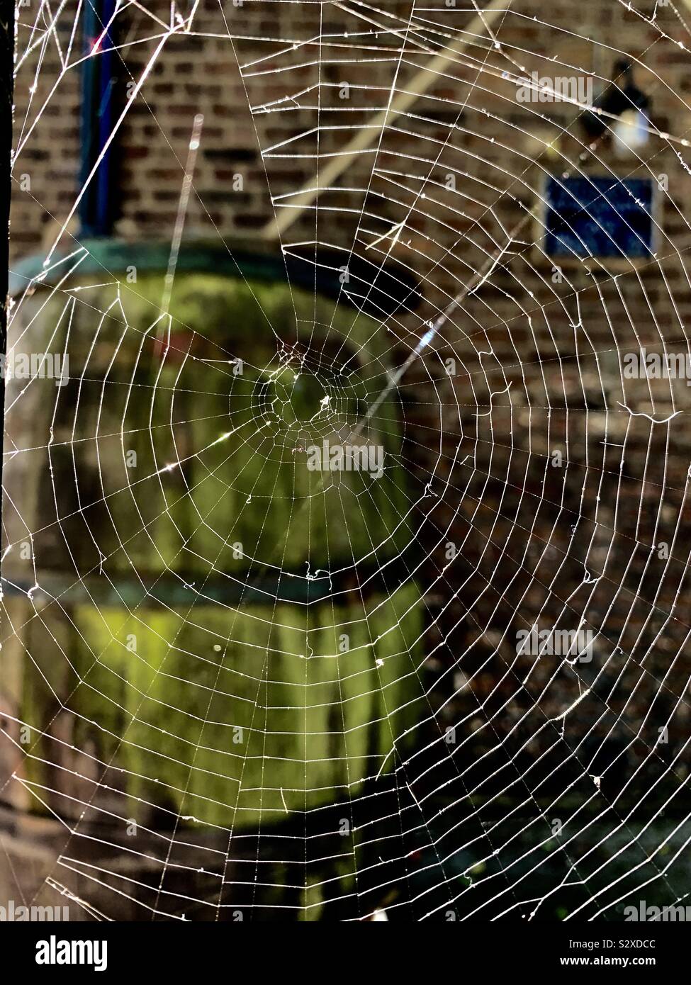 Spider web on the fence hi-res stock photography and images - Alamy