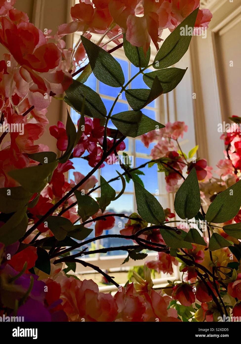 Light coming through window hi-res stock photography and images - Alamy