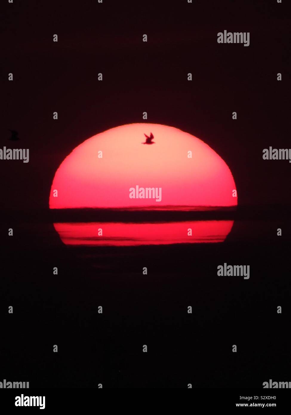 How sun rise hi-res stock photography and images - Alamy
