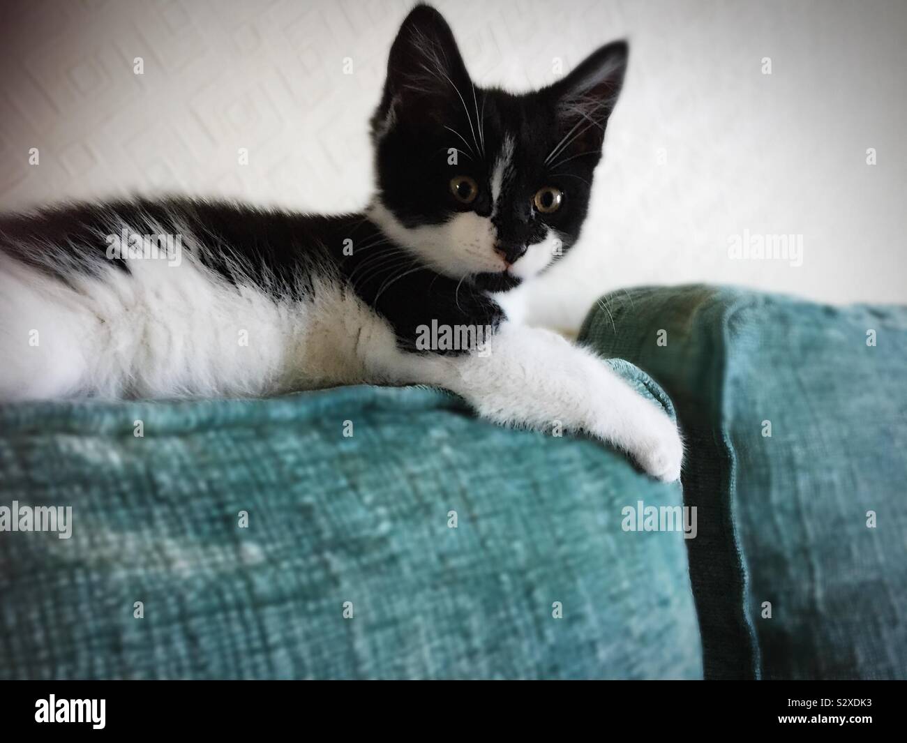 Cat rodriguez hi-res stock photography and images - Alamy