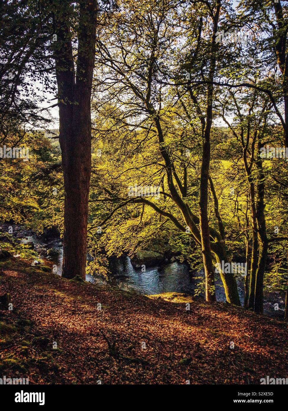 Newton stewart hi-res stock photography and images - Alamy